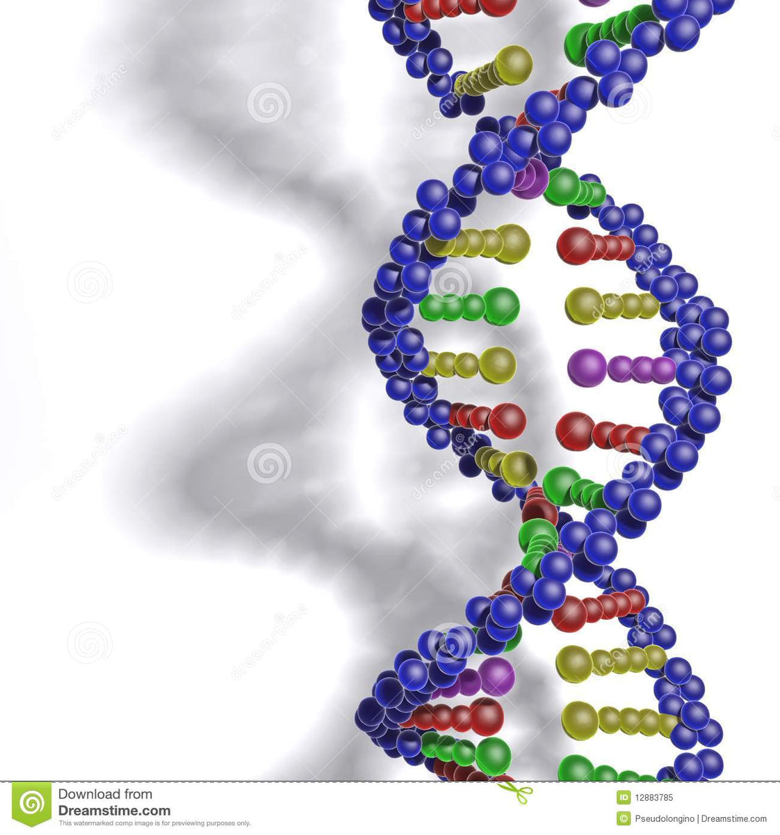Compass Total Wellness DNA Analysis